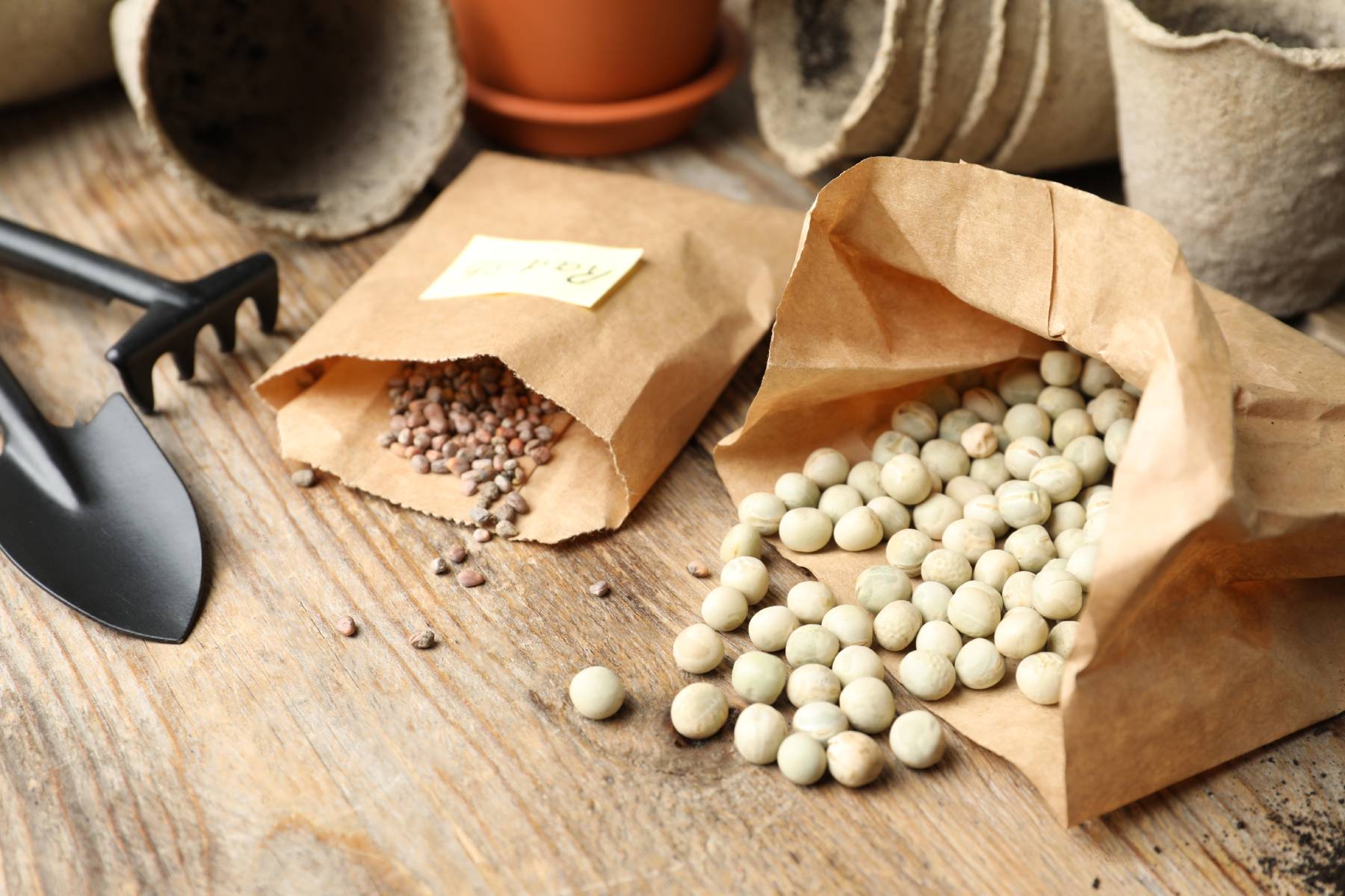 How to Plan Which Crops to Grow – Videos – Mother Earth News